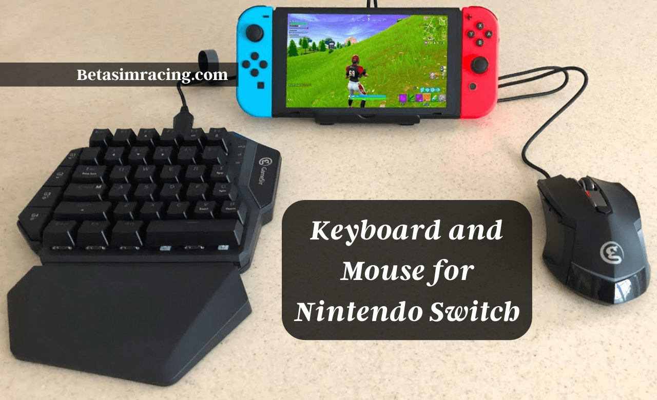 How to Use Nintendo Switch With a Keyboard and Mouse?