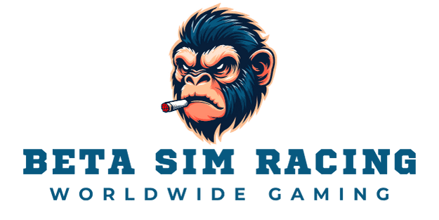 Best Sim Racing Shoes of 2025: An Expert Guide